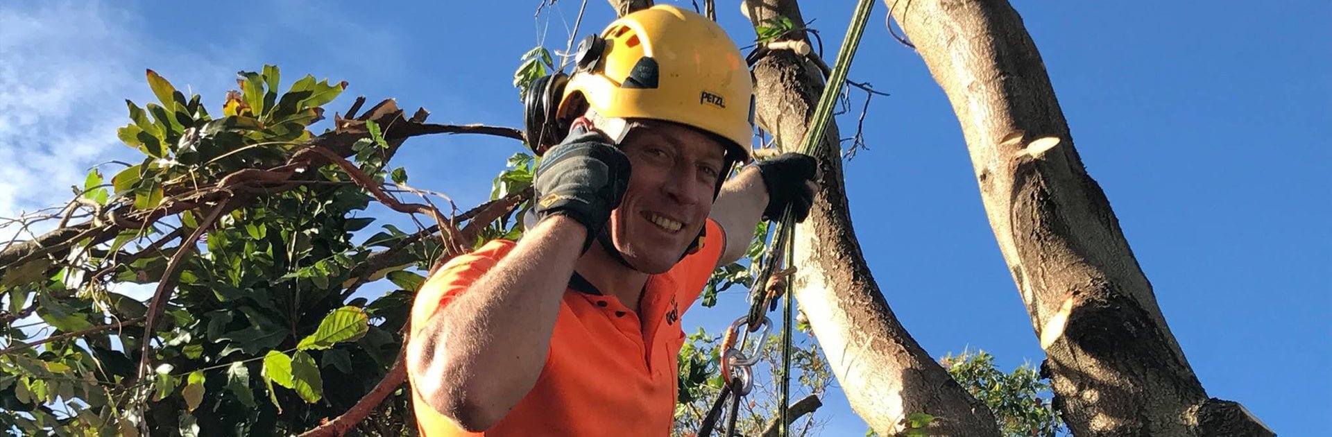 Wolf Trees and Gardens - Web Bird Digital