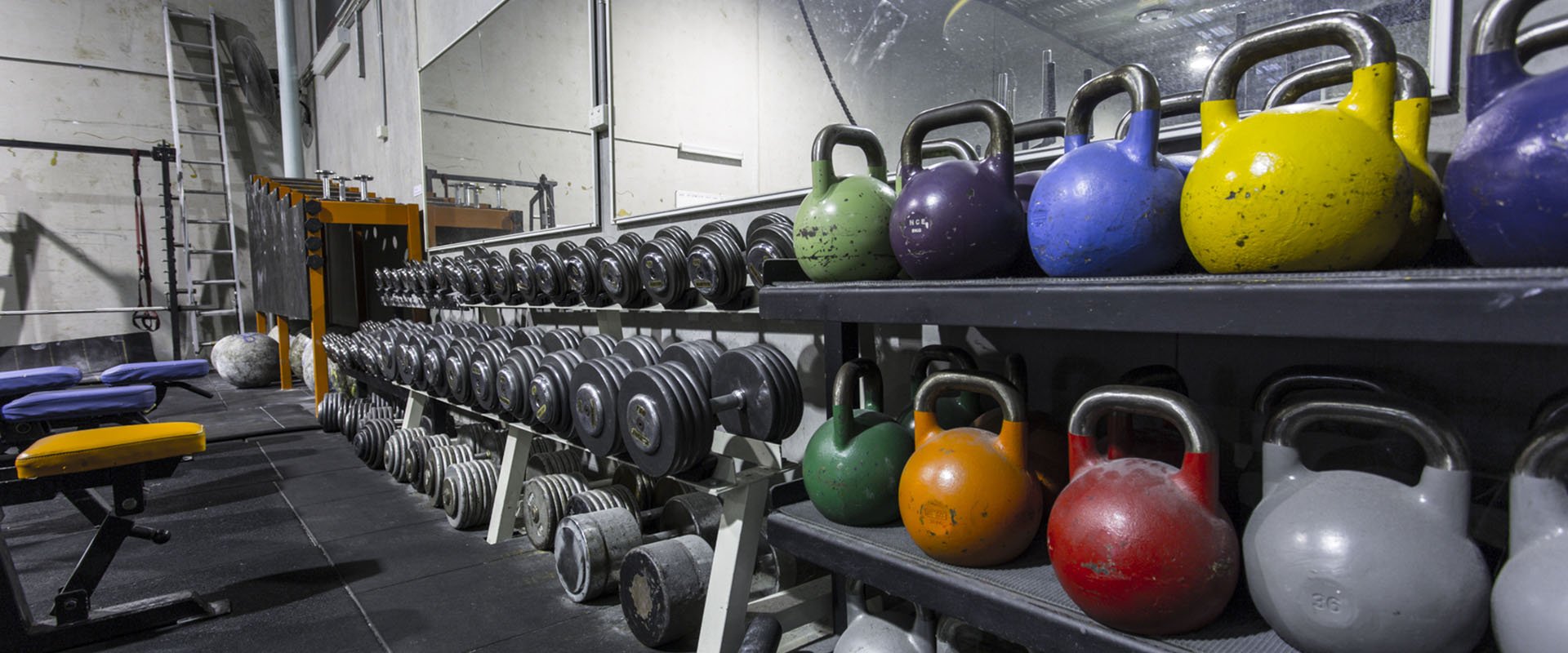 Fortitude Performance - Web Bird Digital - Web Design Agency